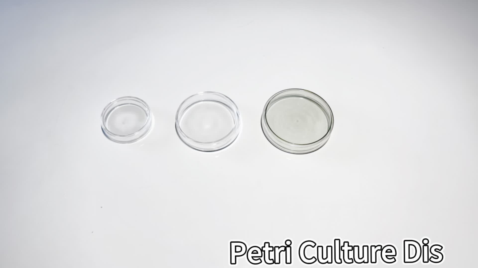 Autoclavable Borosilicate Glass Cell Culture Dish 90mm 100mm 120mm ...