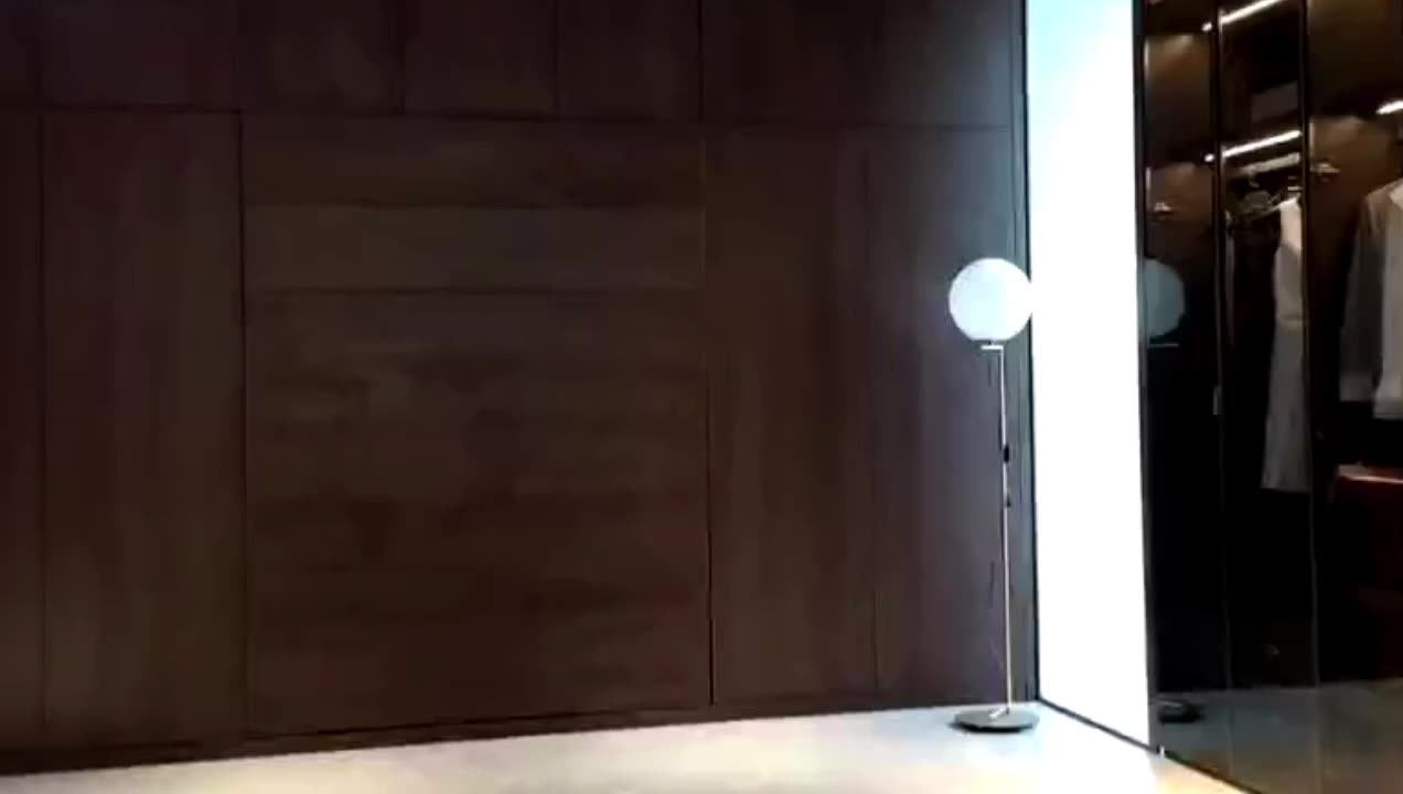 Electric Murphy Bed Space Saving Motorized Vertical Folding Wall Bed ...