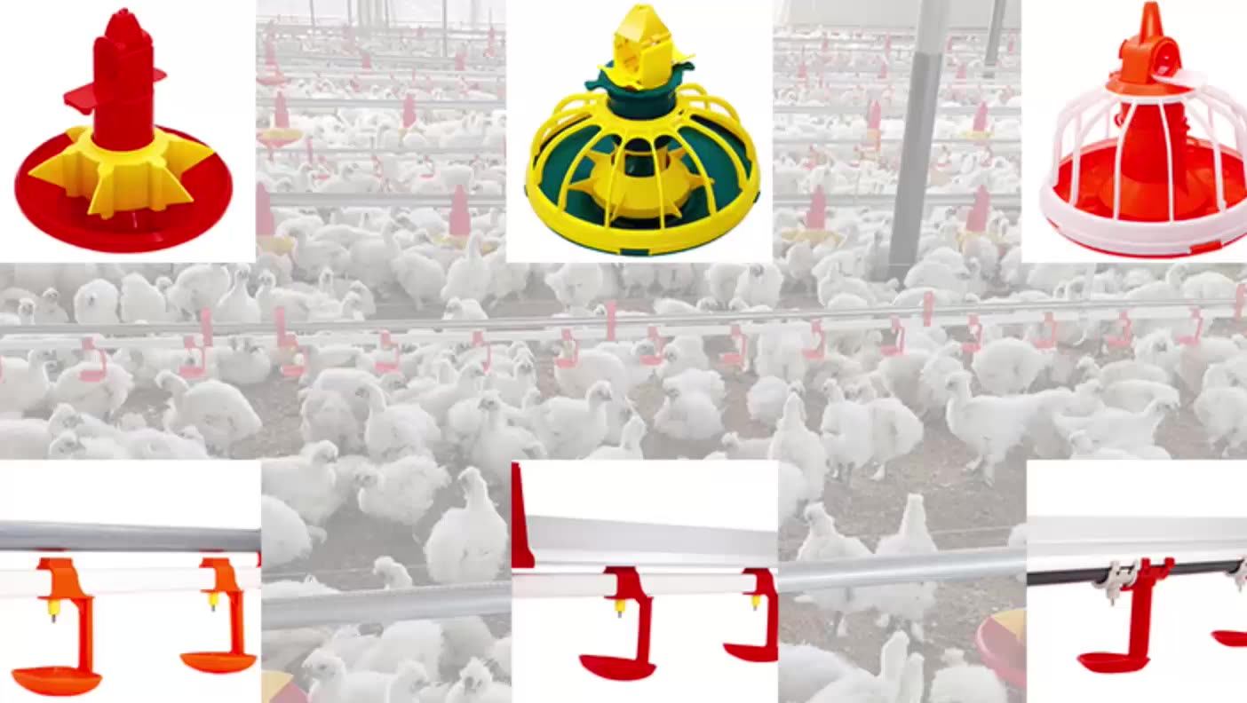Broiler Automatic Chicken Feeder Poultry Equipment Chicken Farm House ...