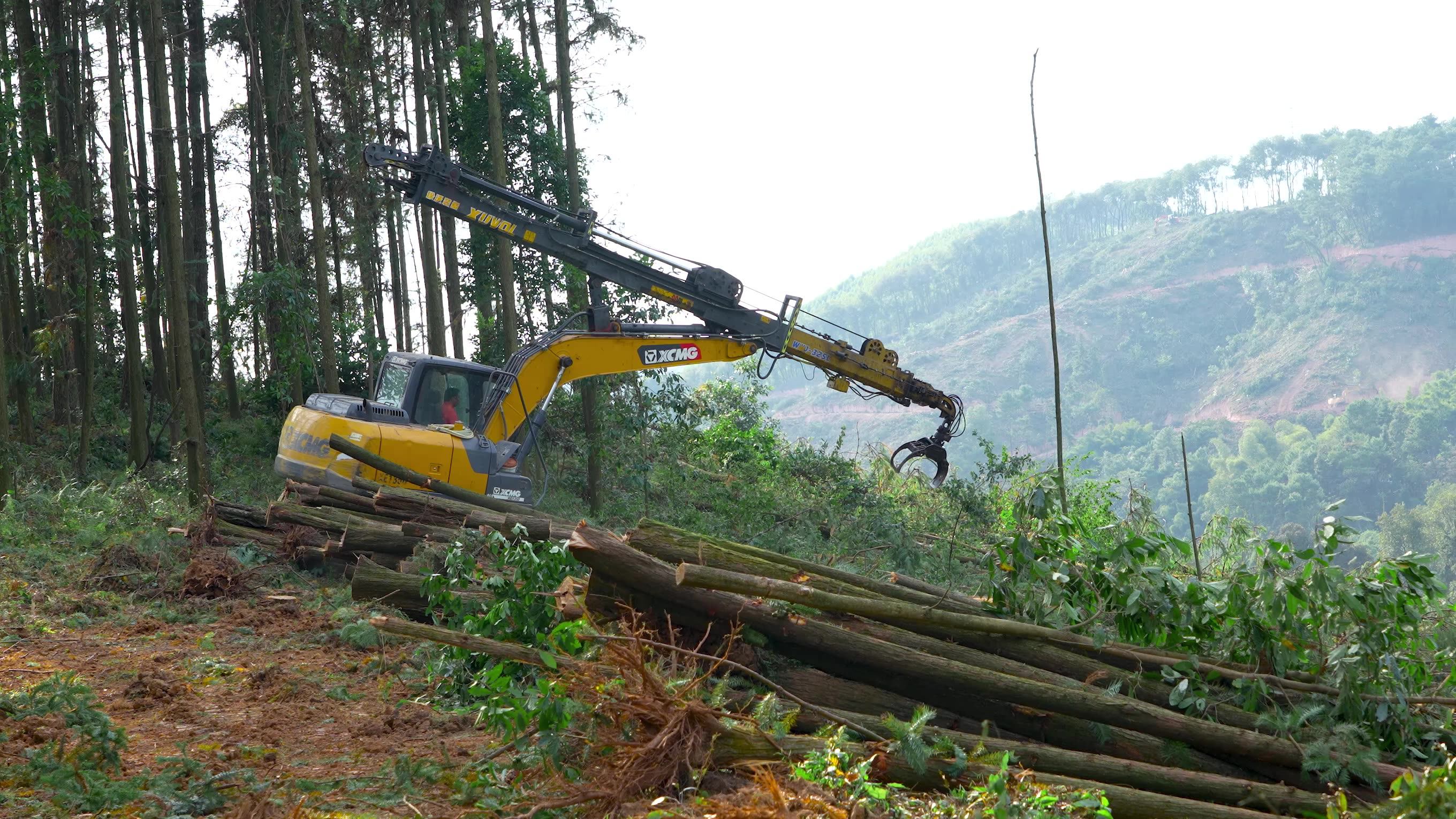Xuvol Telescopic Boom Grab Forest Logs Crane With Mini Log Grapple 25m ...