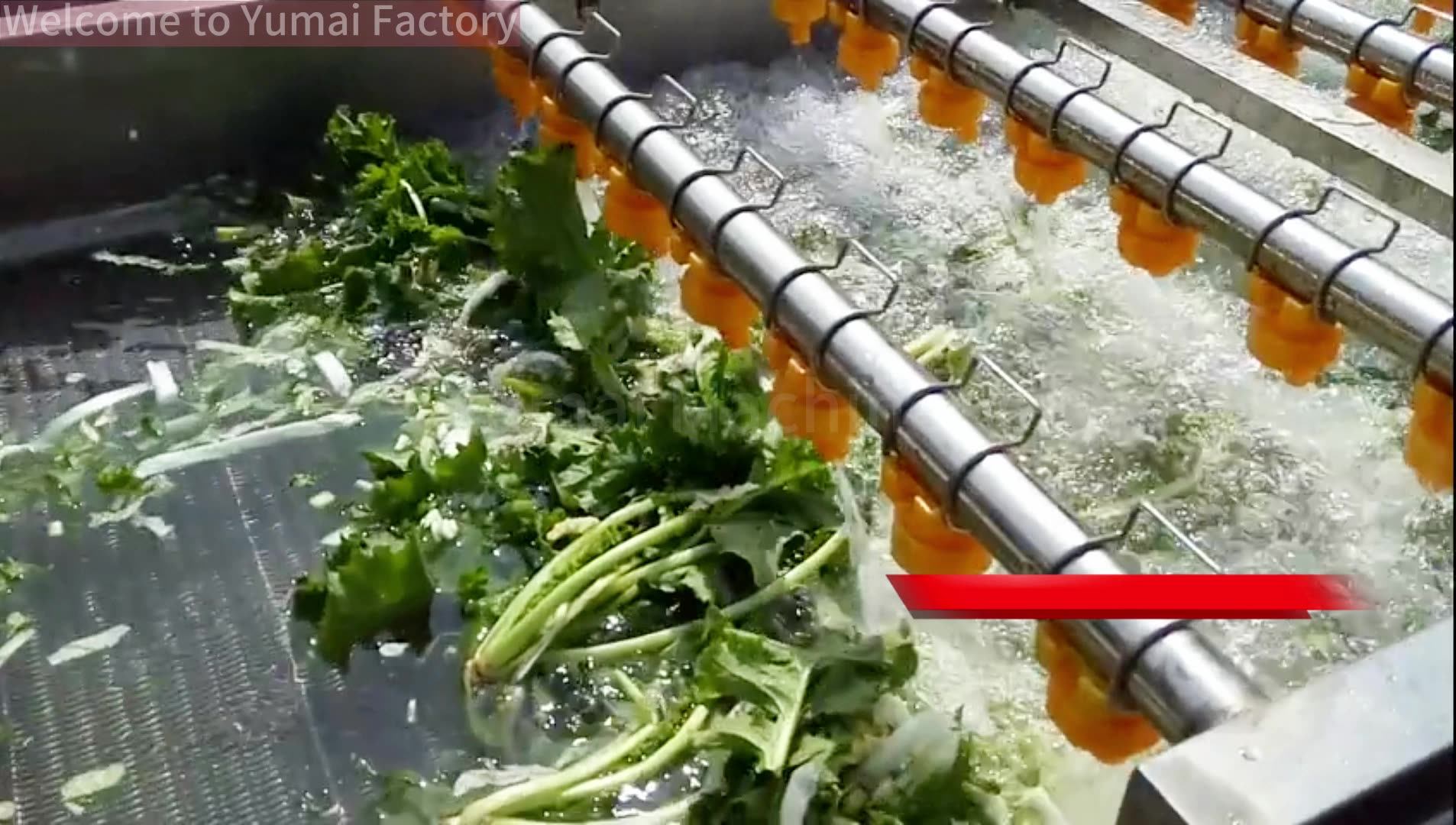 Full Automatic Vegetable Dragon Fruit Mango Sorting Cutting Air Bubble ...