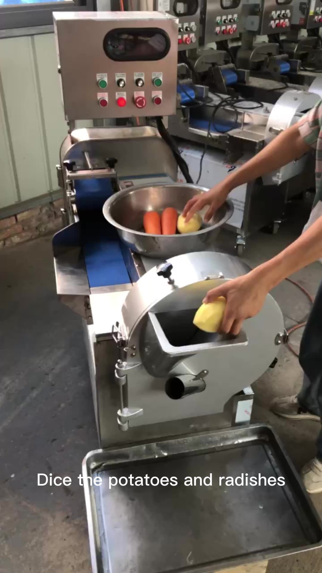 Multifunctional Leafy And Root Vegetable Cutter Potato Slicer Tomato ...