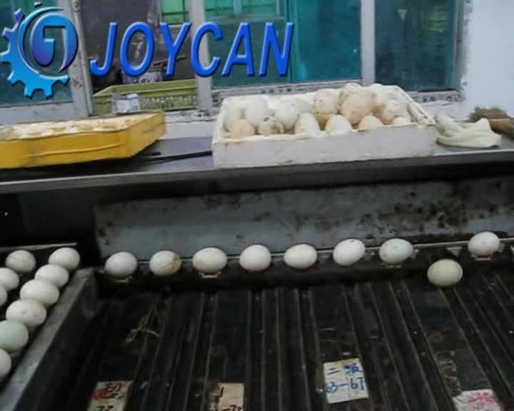 Automatic Chicken Egg Grading Machine Mechanical Egg Weight Grader ...