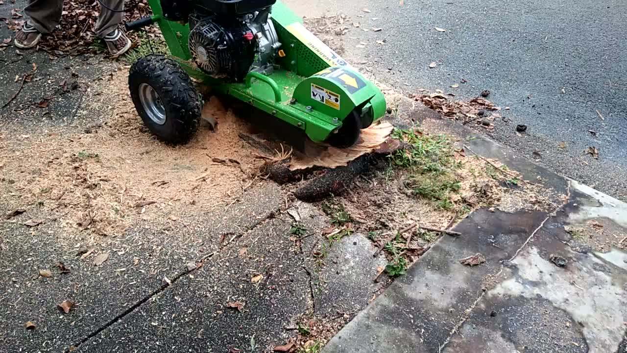 Hot Sales Tree Stumps/ Stump Remover Machine - Buy Tree Stumps,Tree ...