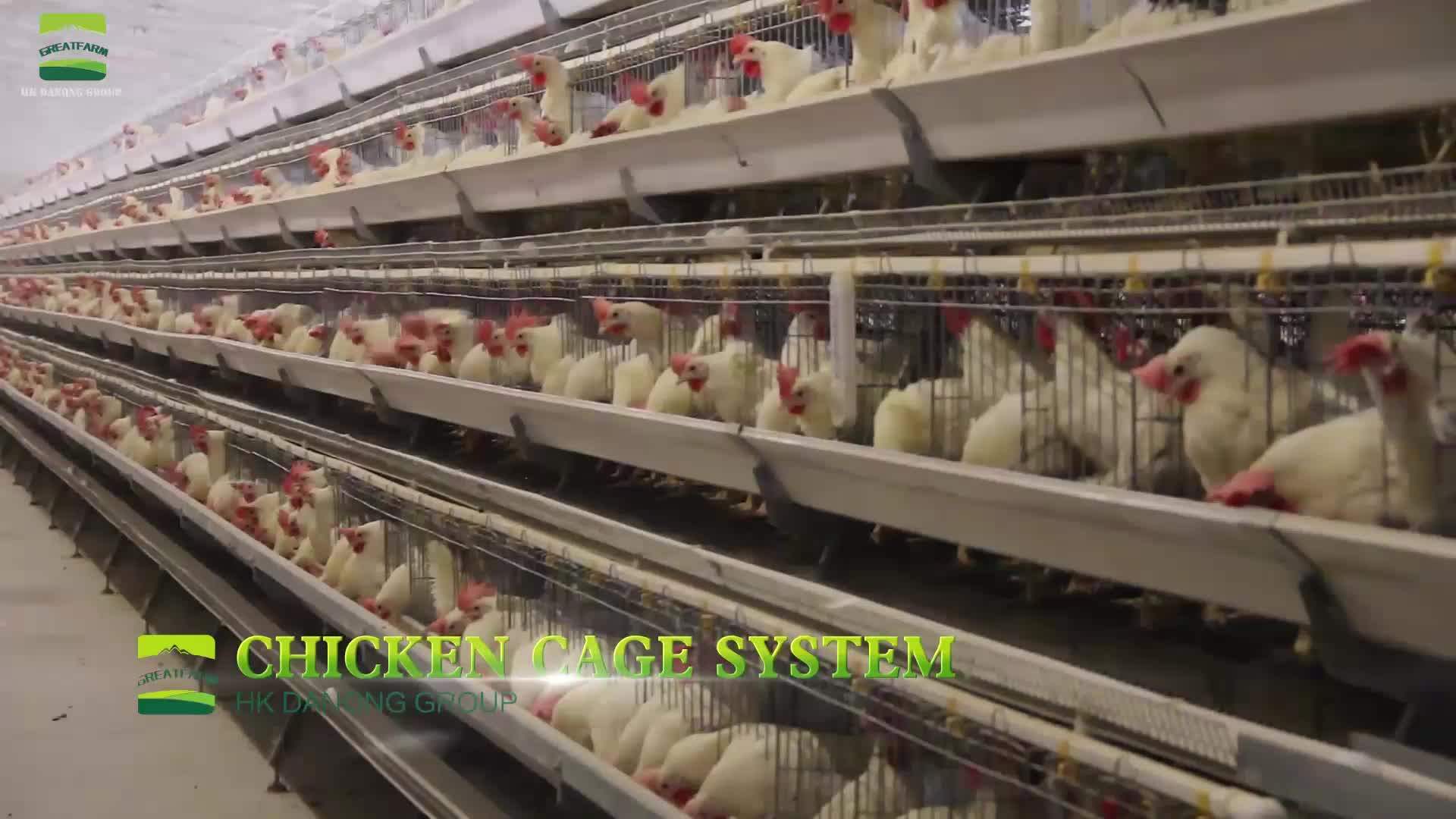 GREAT FARM Chicken Cage Poultry Layer Cage Chicken Farm Coops
