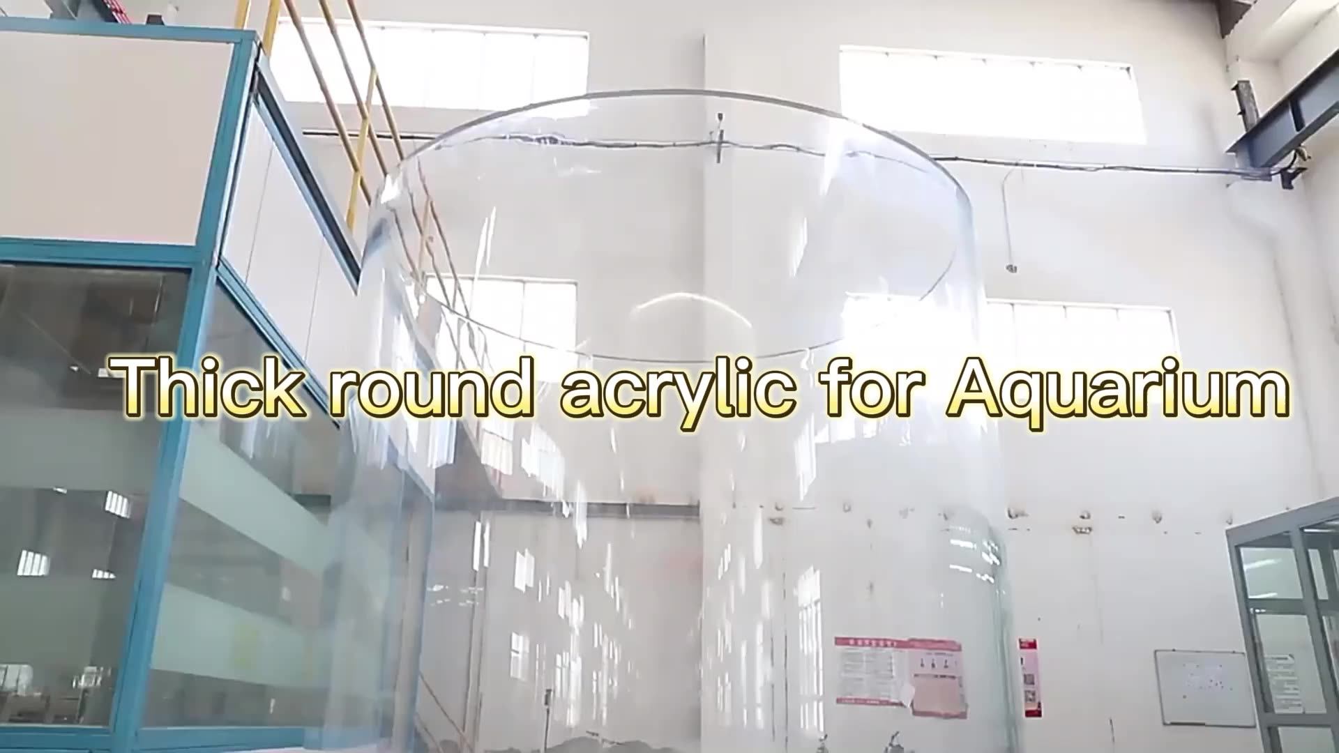 Grandview Cylinder Large Acrylic Fish Tank Plastic Rimless Plexiglass ...