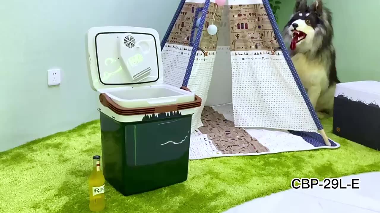 29l Electric Cool Box Mini Camping Car Freezer Fridge 12v 24v Dc ...