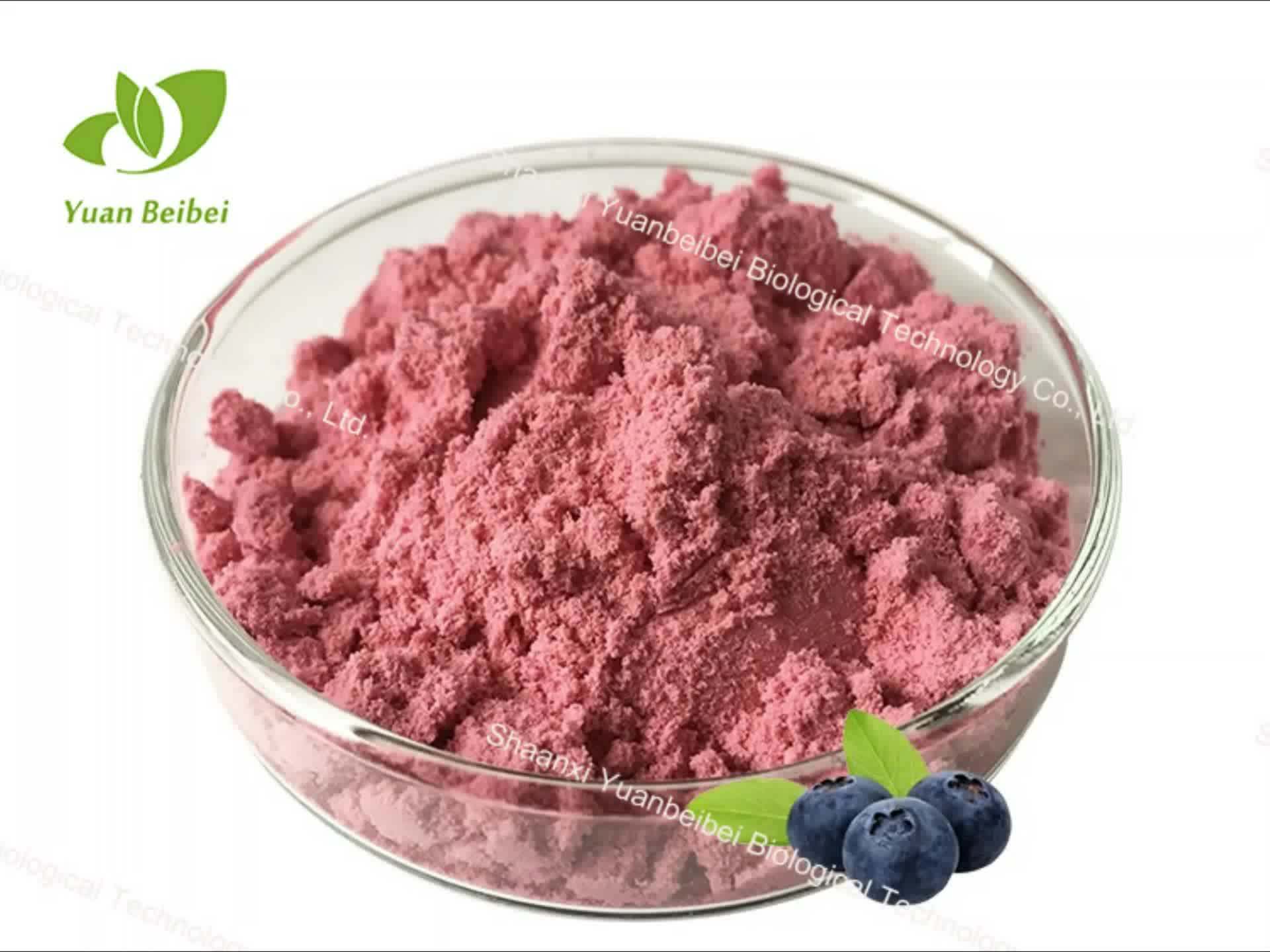 100% Organic Pure Nature Lyophilized Blueberry Powder Wholesale Freeze ...