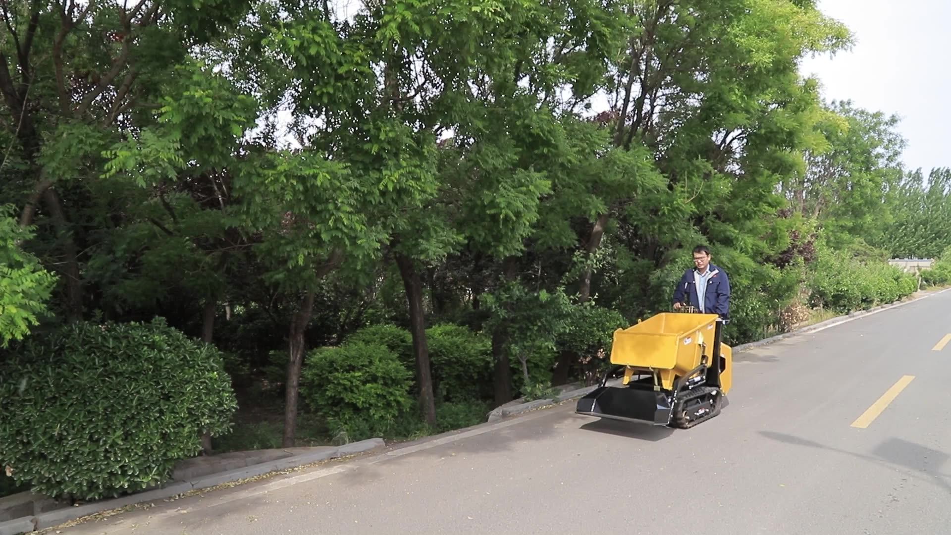 Hydraulic Tracked Gasoline/diesel Mini Dumper 800 Kg/1200 Kg Skip ...