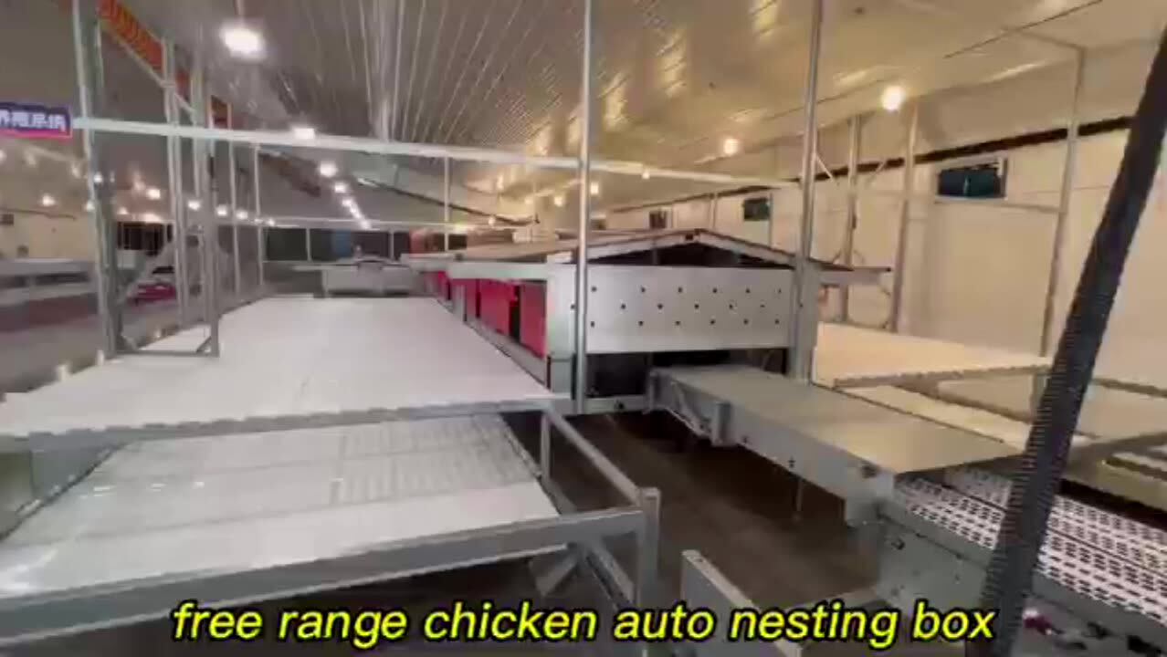 Automatic Nest System Farm Collector Hens Laying Chicken Egg Nesting ...