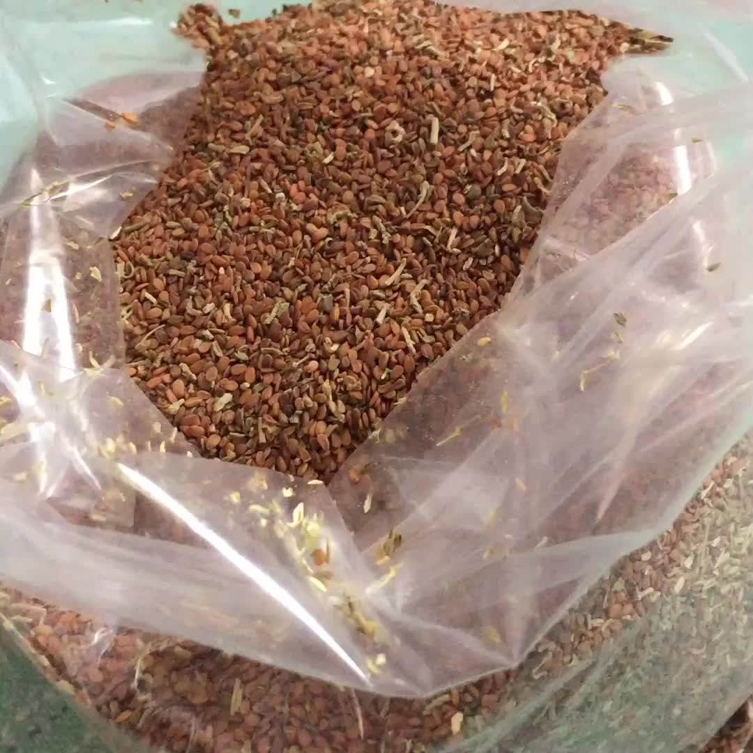 2019 Newest Maca Seeds For Sowing - Buy Types Of Seeds,Organic Seeds ...