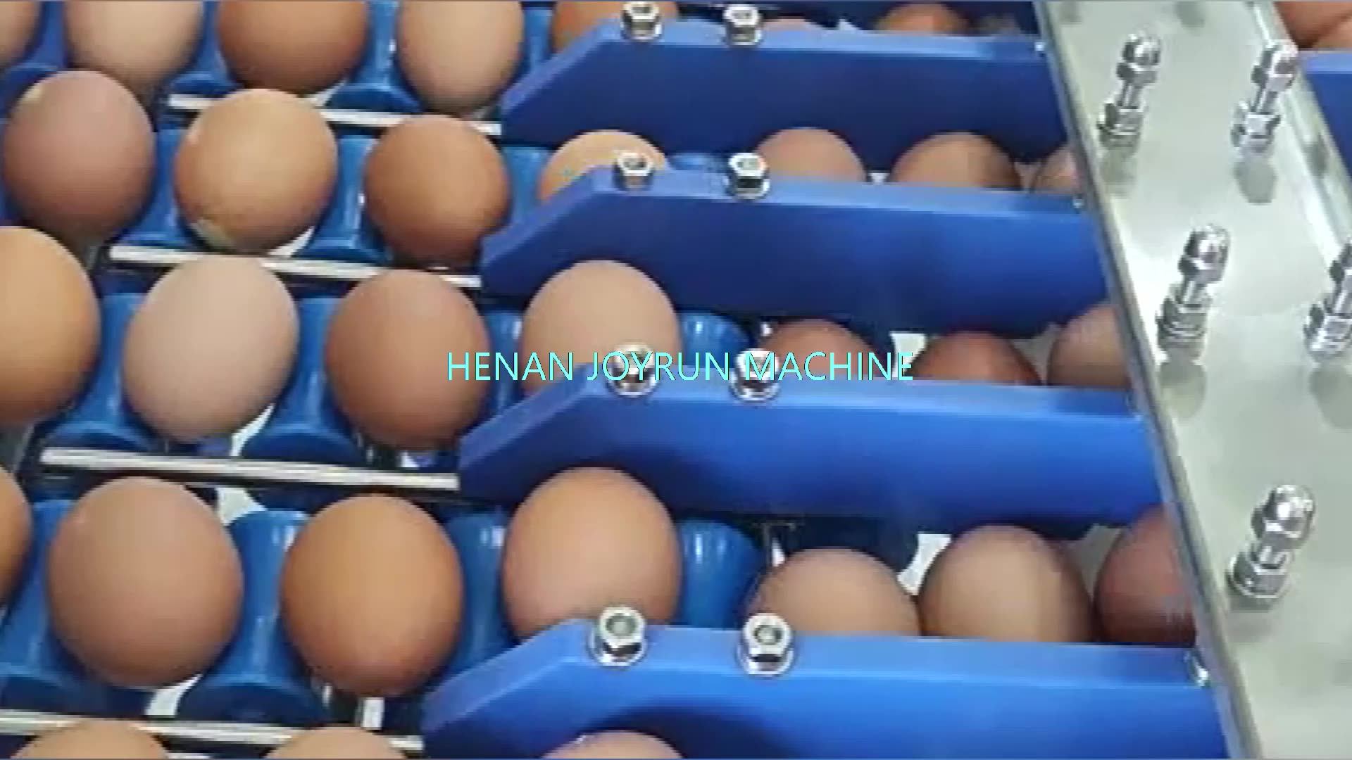 Industrial Basic Egg Candler Scale Grader And Pick Quail Goose Egg ...