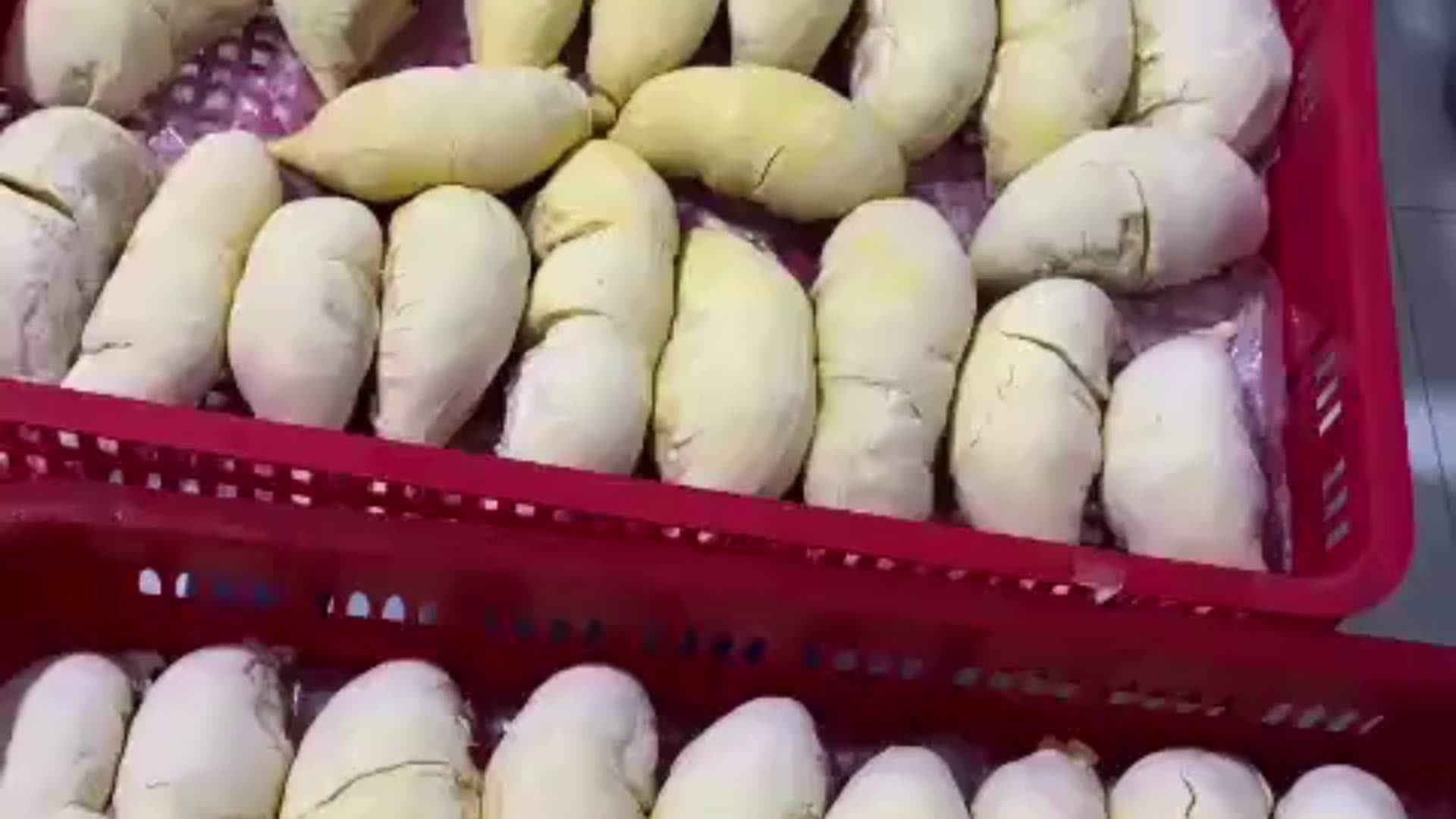 Fresh Durian Vietnam Durian Carton Box Packaging Yellow Common ...