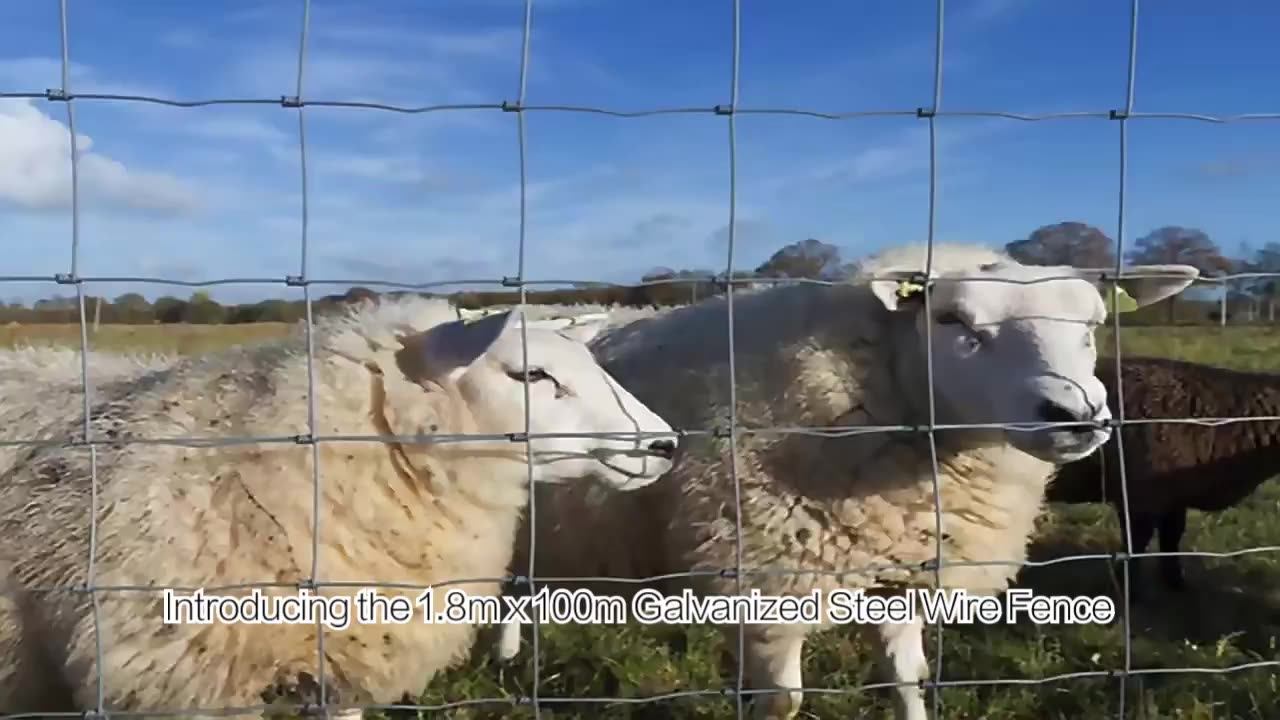 Hot Dip Galvanized 3d Grassland Wire Mesh Fence Metal Coated Rail ...