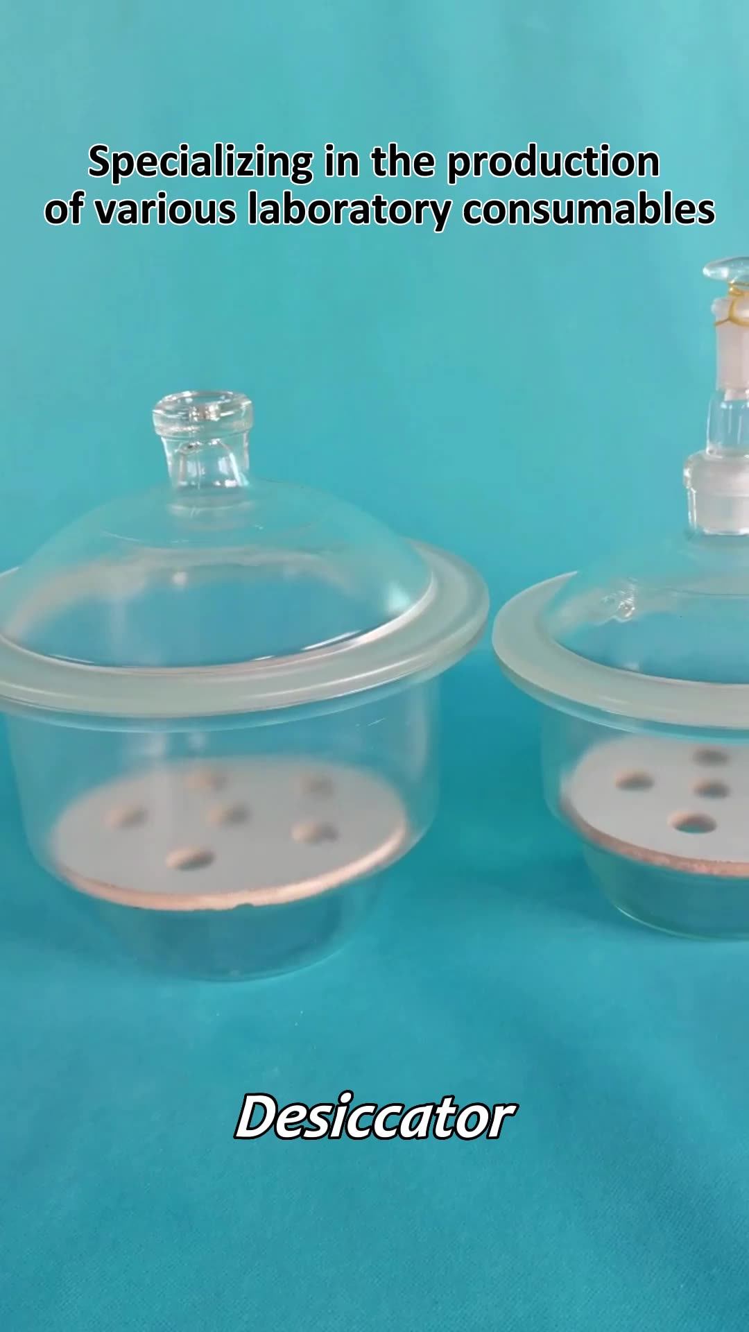 Glass Desiccator Vacuum Desiccator Neutral Glass With Porcelain Plate ...
