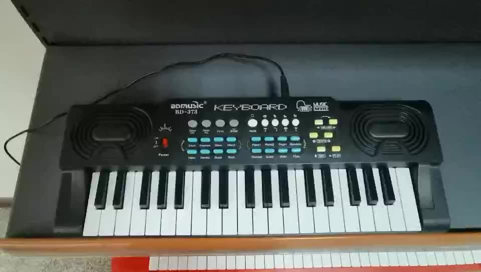 37 Keys Mini Electronic Keyboard Piano Instruments Musical Portable ...