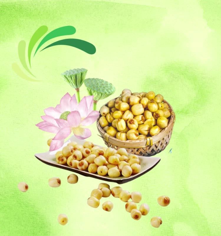 Vietnam Dried White Lotus Seed Snack Healthy Roasted Lotus Seeds Snack ...