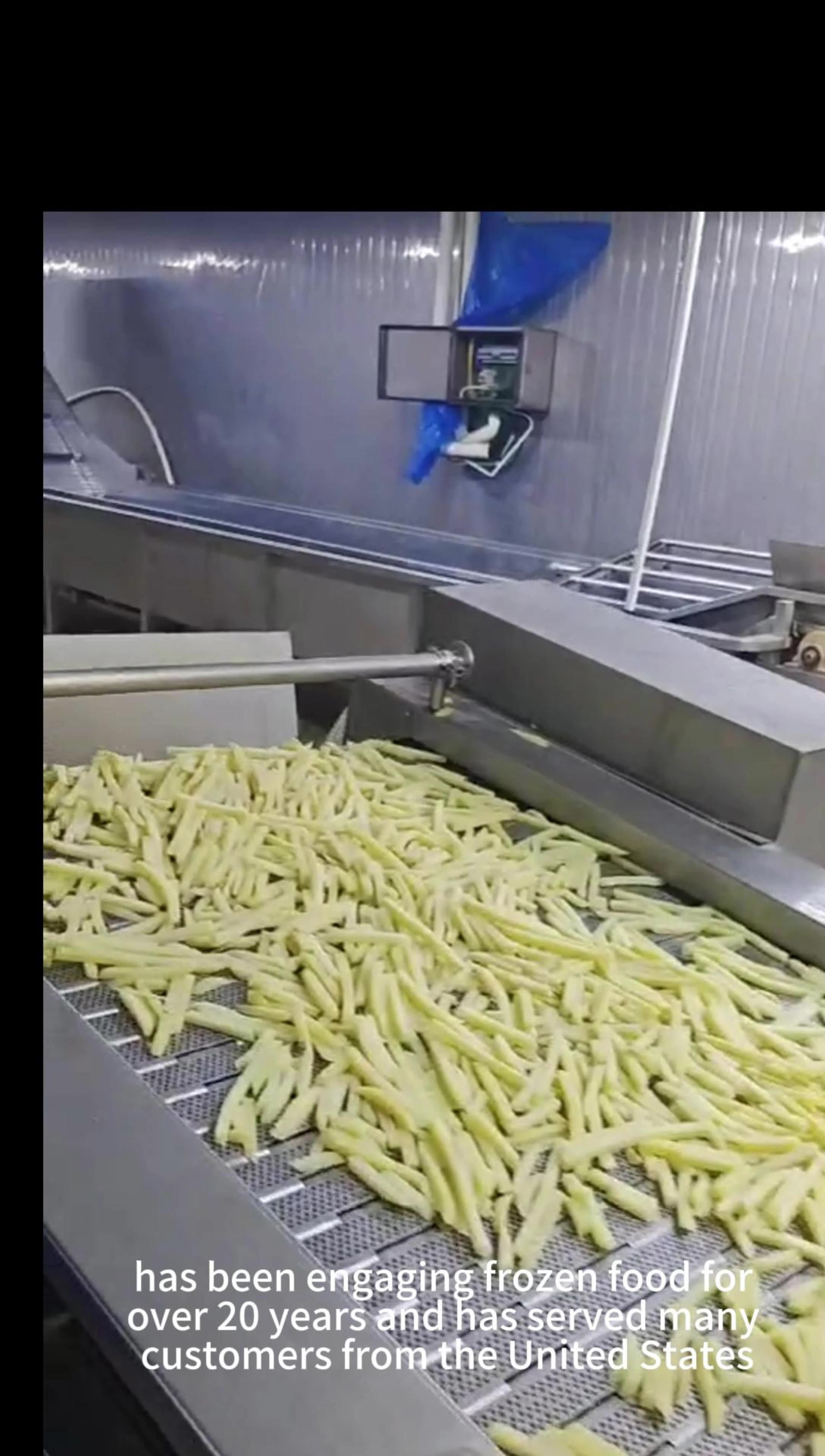 Iqf Frozen French Fries Frozen French Chips Frozen Potato Chips ...