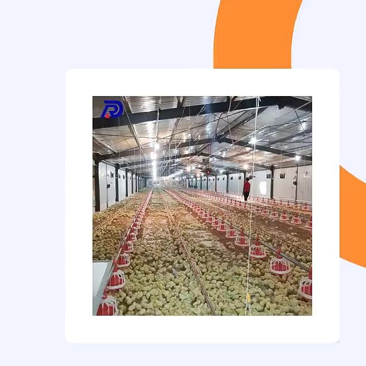 Free Range Light Steel Frame Chicken House Prefabricated Layer Chicken ...