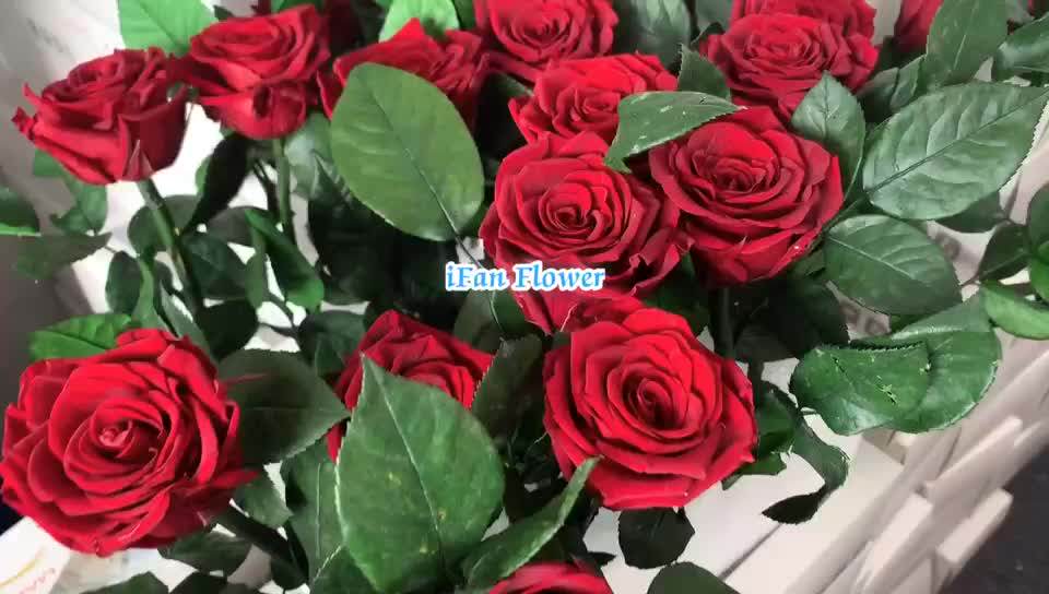 Japan Rose Real Eternal Rose Diy Preserved Rose Flower With Stems - Buy ...