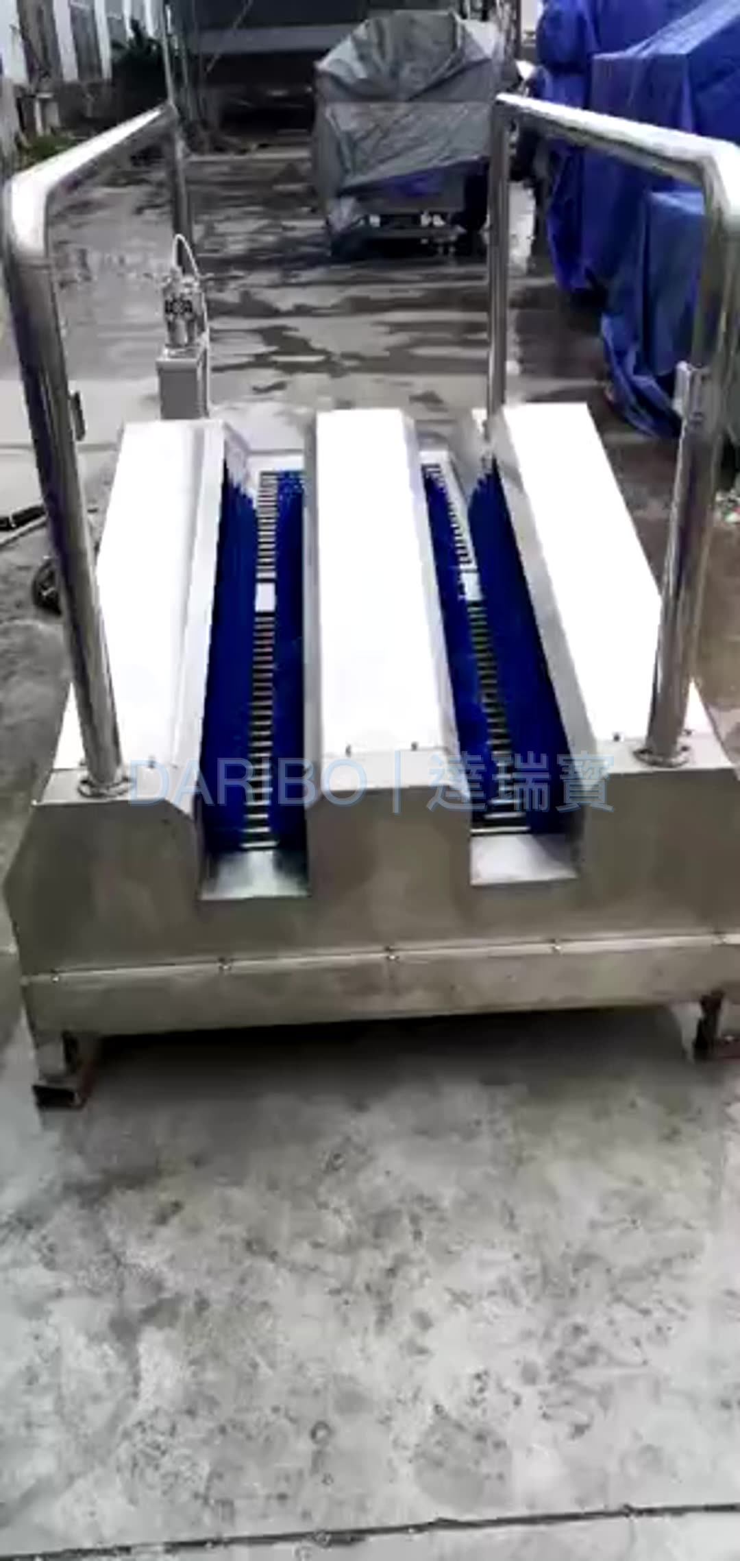 Plant Sanitation Hygiene Cleaning Station Industrial Boot Shoe Sole ...