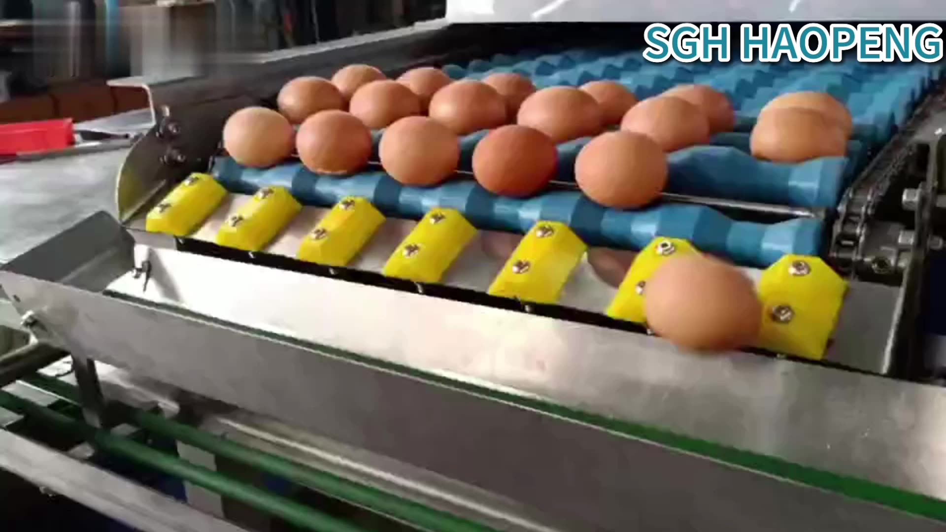 Turnkey Project 10000 Eggs Washing Breaking Machine Egg Yolk White Separating Egg Liquid ...