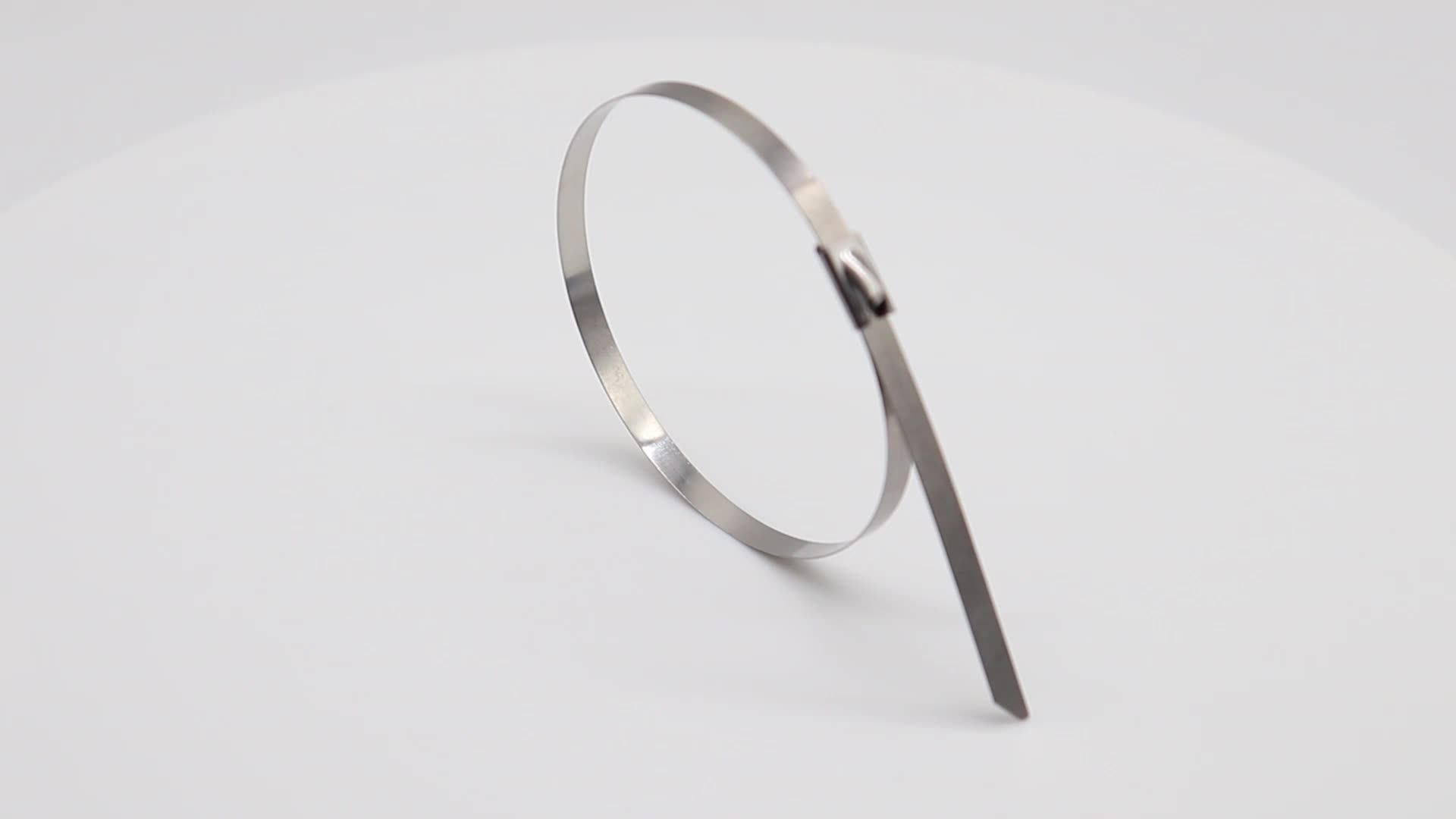 Multifunctional Stainless Steel Self-locking Tie Wrap 4.6mm*250mm Metal ...