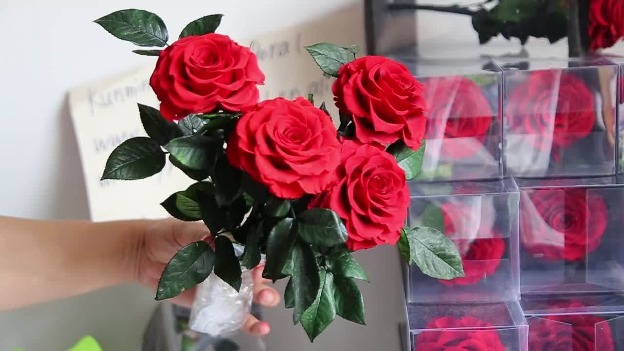 9-10cm Huge Rose With Long Stem Pack In Box Single Preserved Roses ...