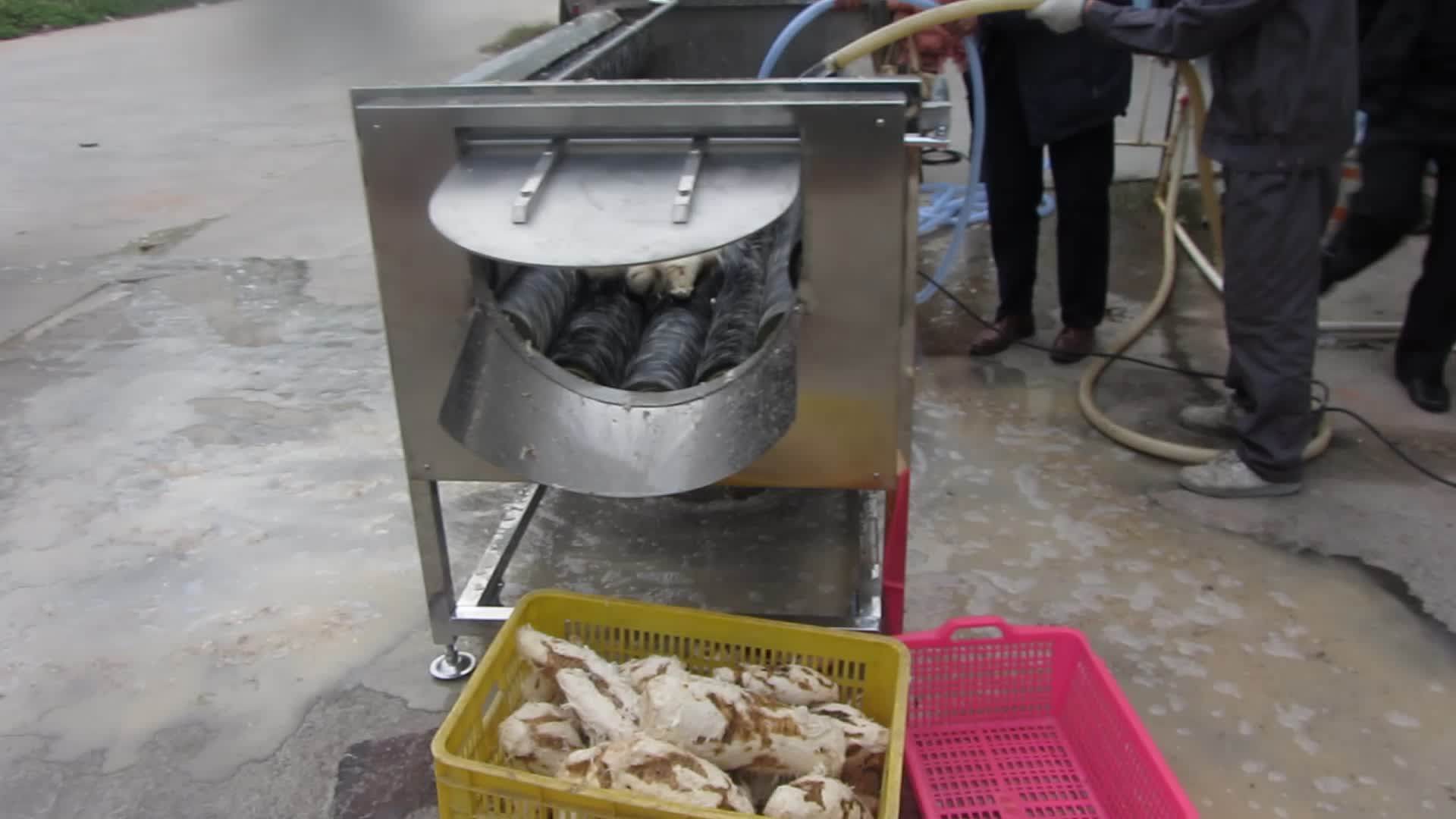 Mstp-500 Large Scale Potato Skin Peeling Machine Carrot Peeler Root ...