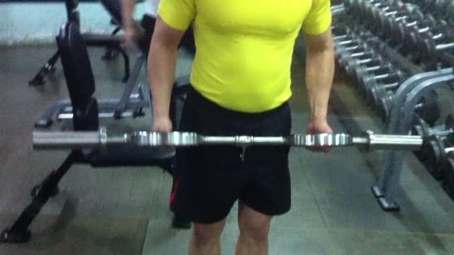 Gym Fitness Training Weight Lifting Short Barbell Bars - Buy Barbell ...