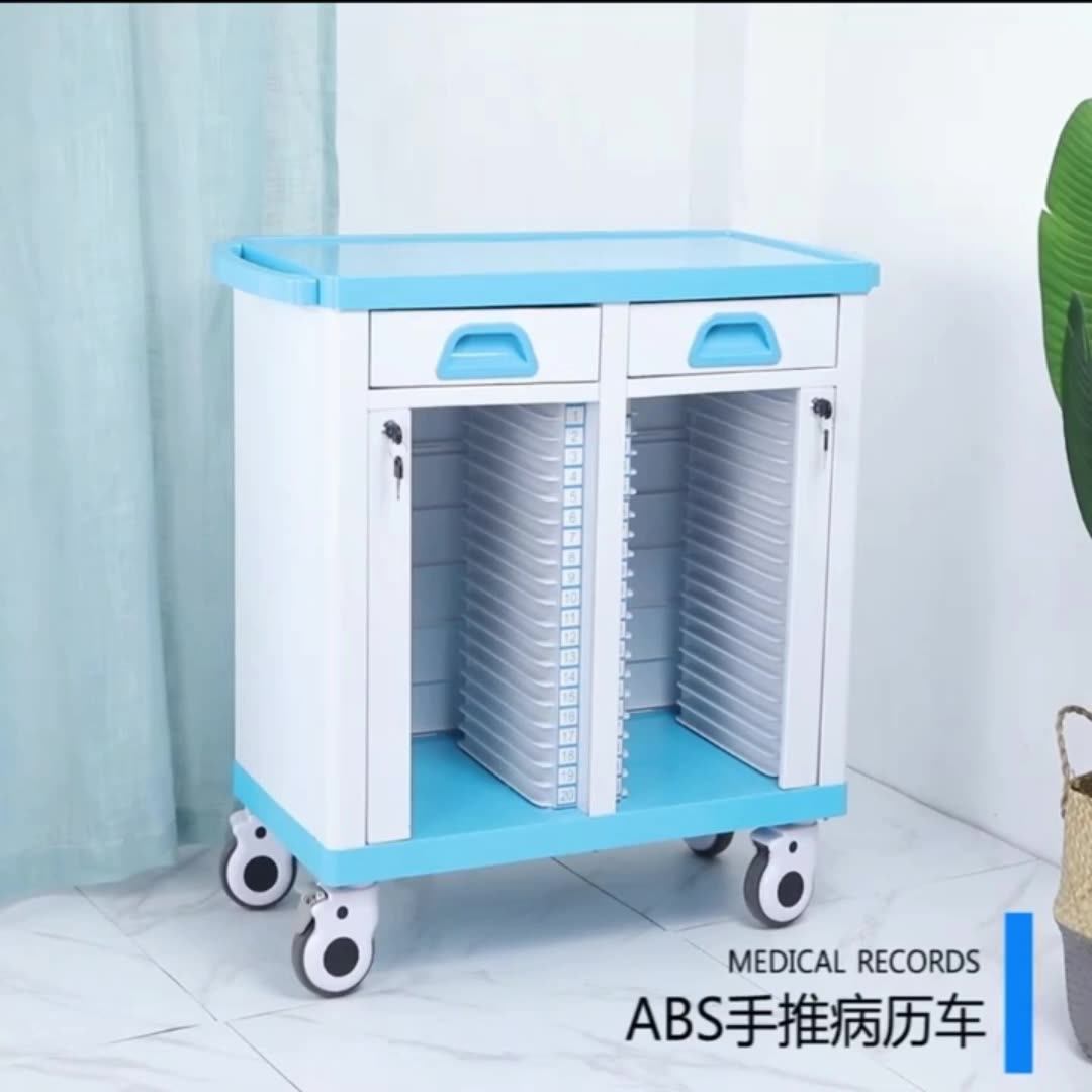 2024 Medical Records Chart File Car Hospital Storage And Use Convenient ...