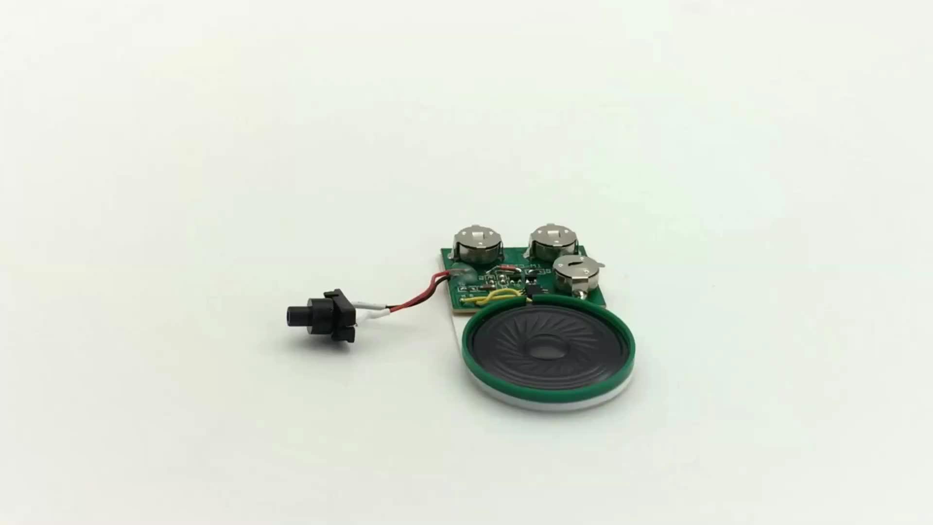 Programmable Ic Voice Chip Small Battery Power Motion Sensor Recordable ...