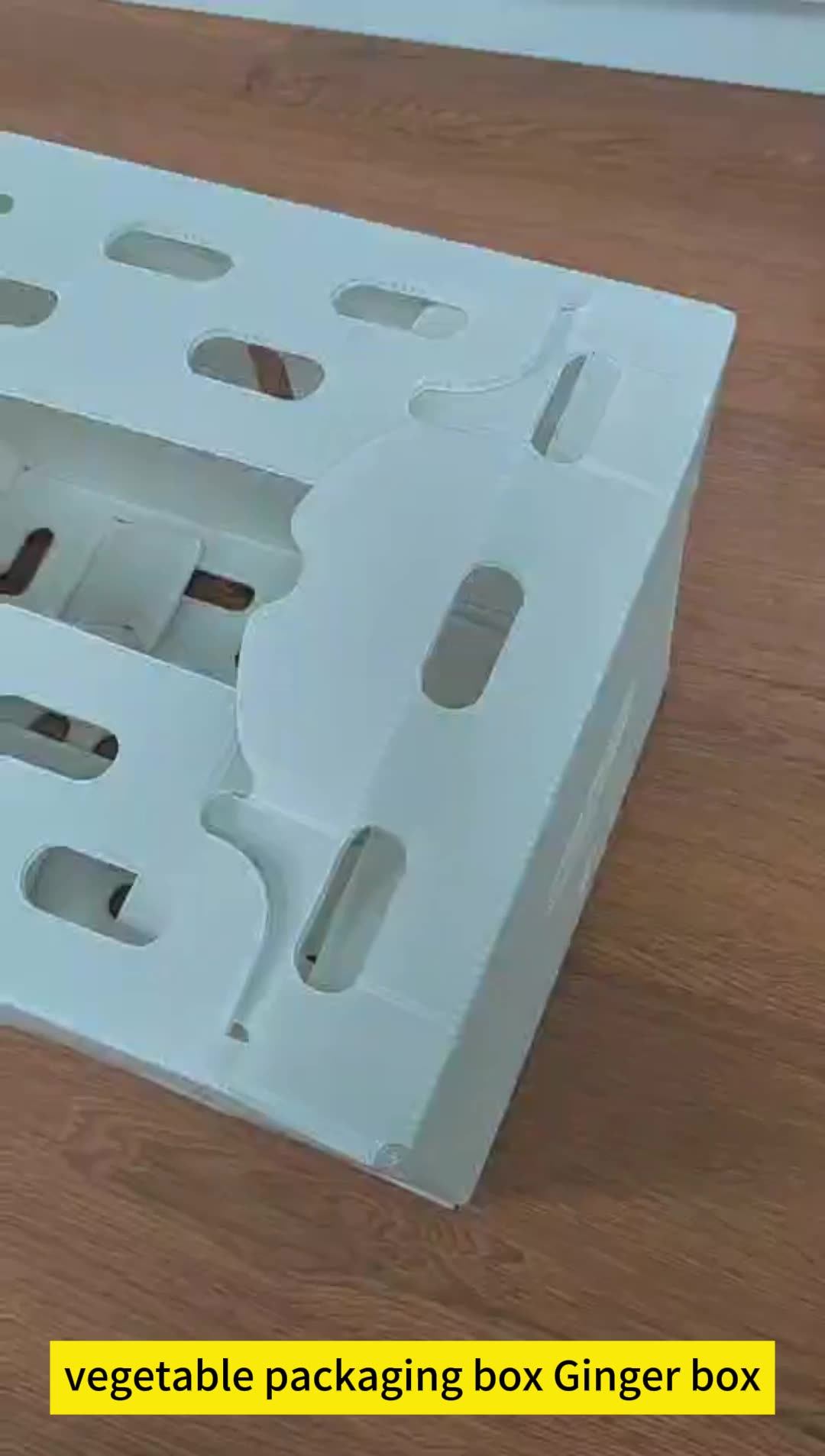 Fresh Fruits And Vegetables Ginger Packing Box Pp Plastic Correx Box Pp ...