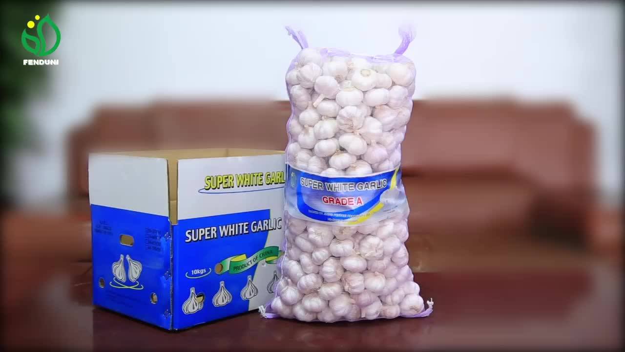 Fresh Garlic 10kg/bag Loosely - Buy Fresh Garlic,Garlic Price,New Crop ...