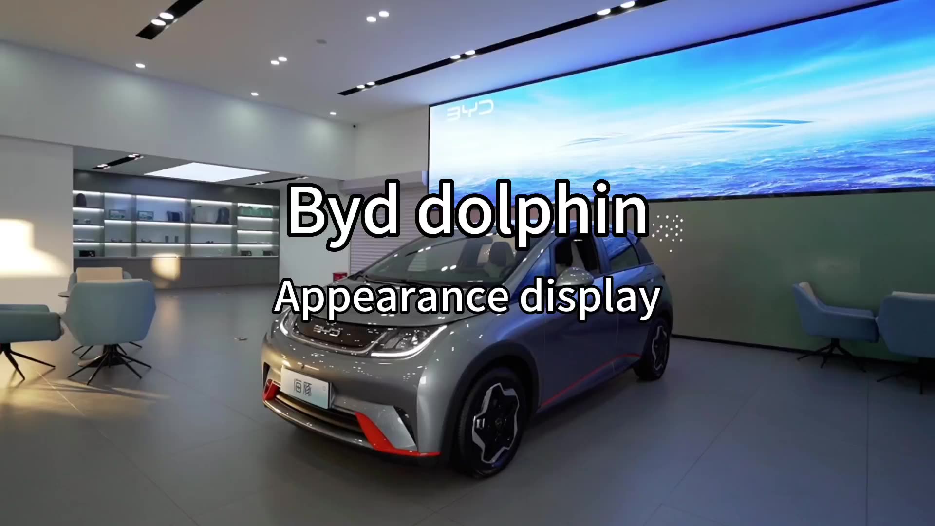 Byd Dolphin Mini Electric Vehicle,2023/2024 Brand New Style Byd Dolphin New Energy Electric ...