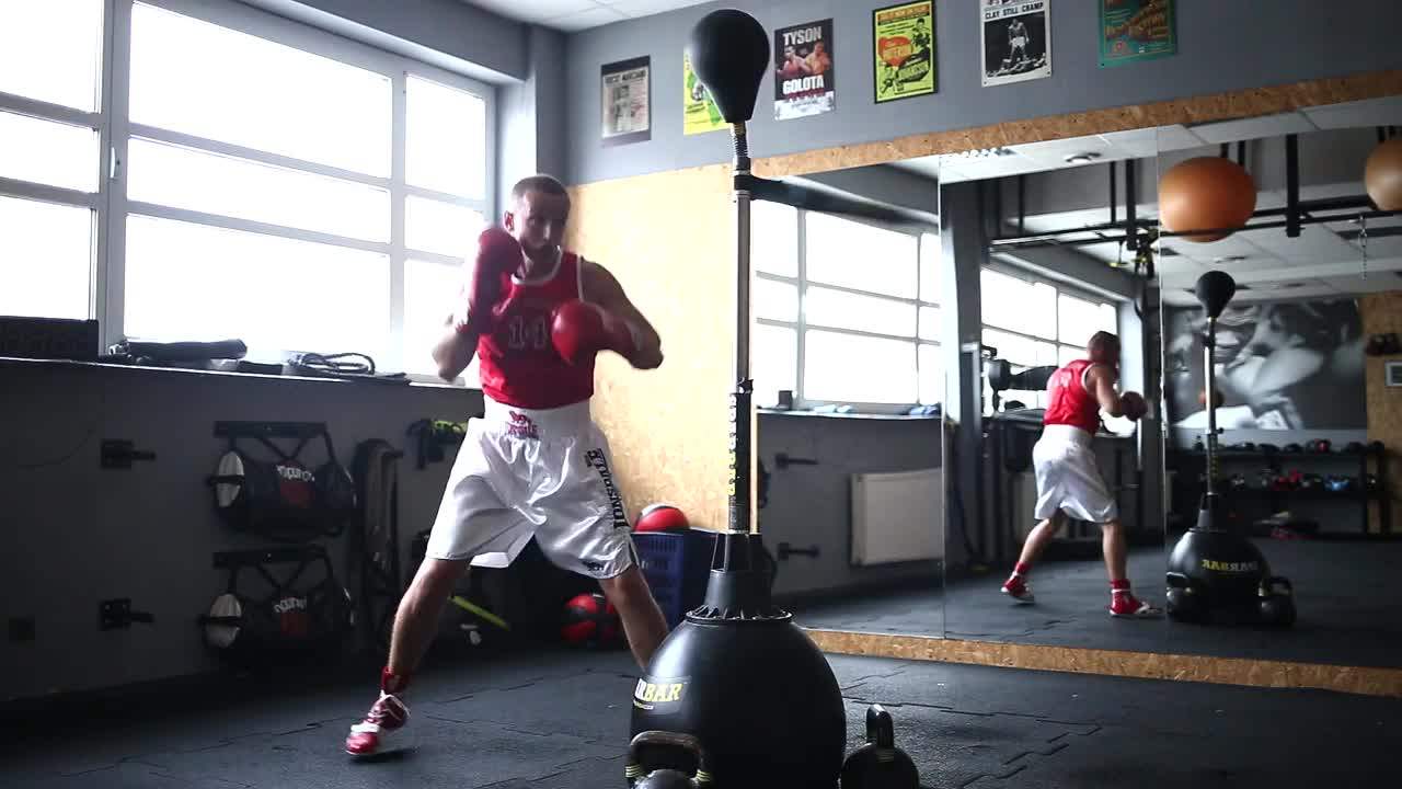 Punching Dummy Body Shape Training Equipments Free Standing Boxing ...