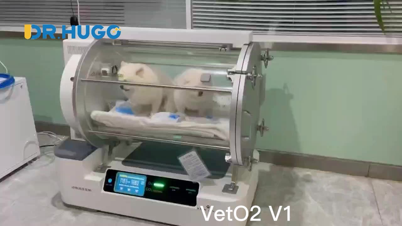 Dr.hugo Veto2 V1 Portable Veterinary Hbot Hyperbaric Oxygenation ...