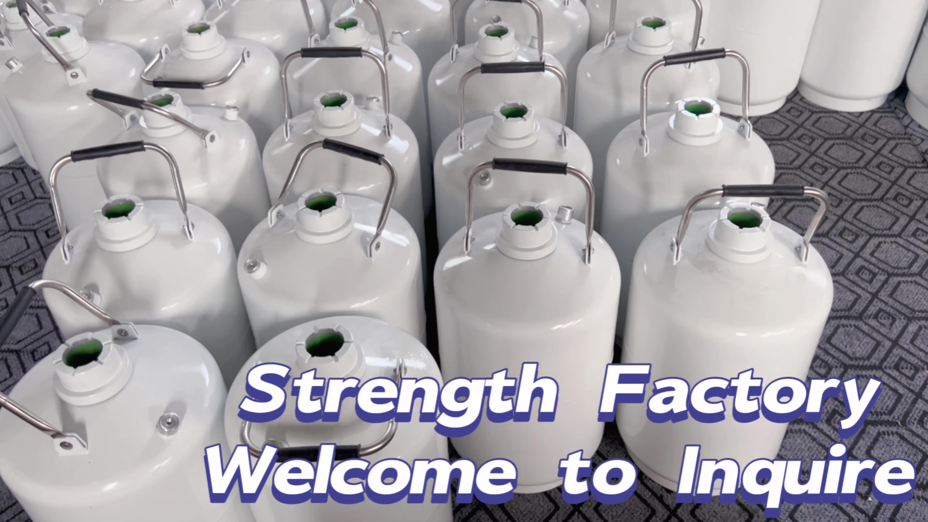 1l/2l/3l/6l/10l/15l/20l/30l/35l/47l/50l 정액 탱크 Ai 수정용 액체 질소 용기 - Buy 인공 수정 정액 탱크 Termo Criogenico ...