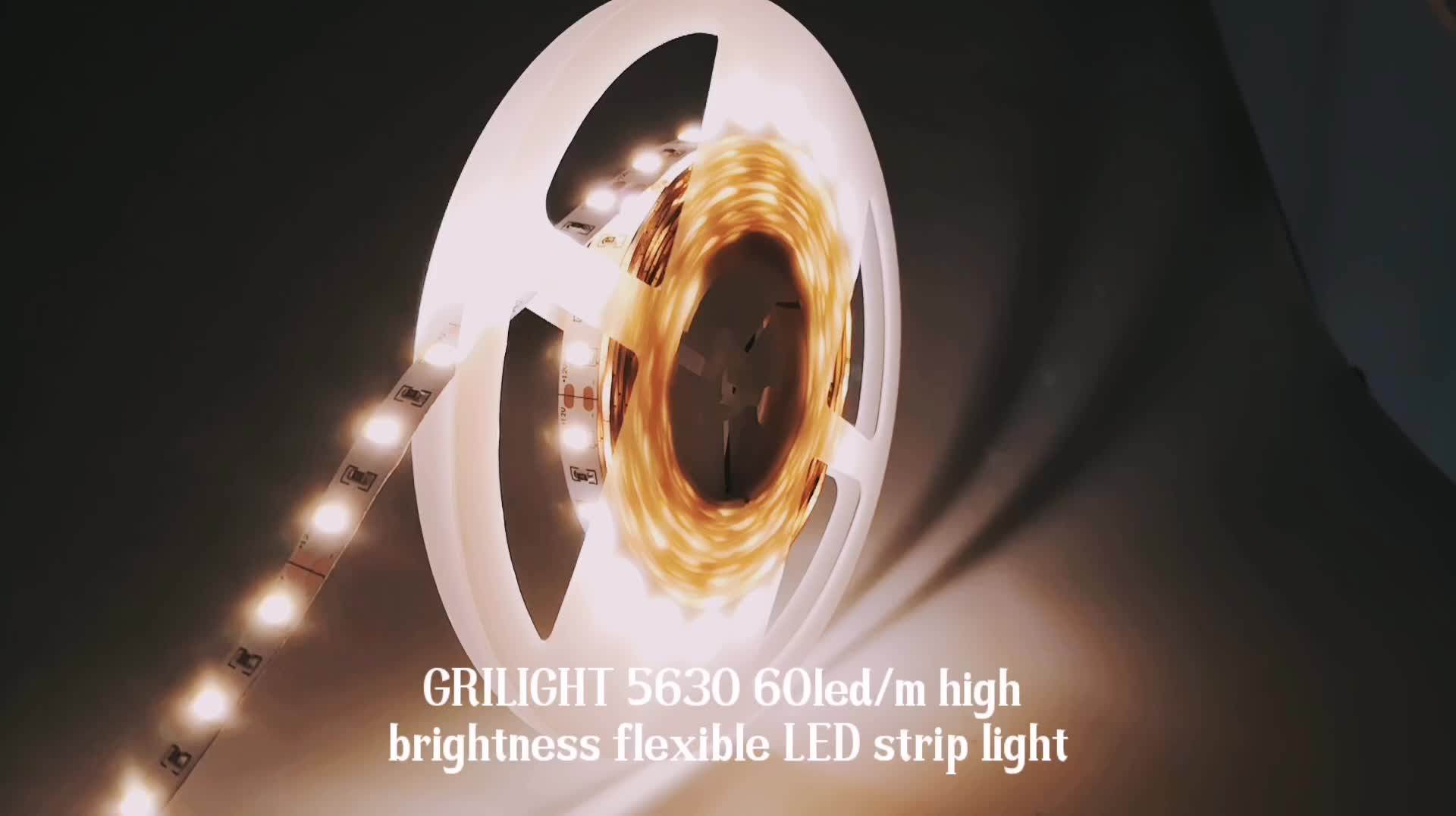 High Brightness 24v 12v 6500 Kelvin 5630 Led Strip Light Led Strip 5630 ...