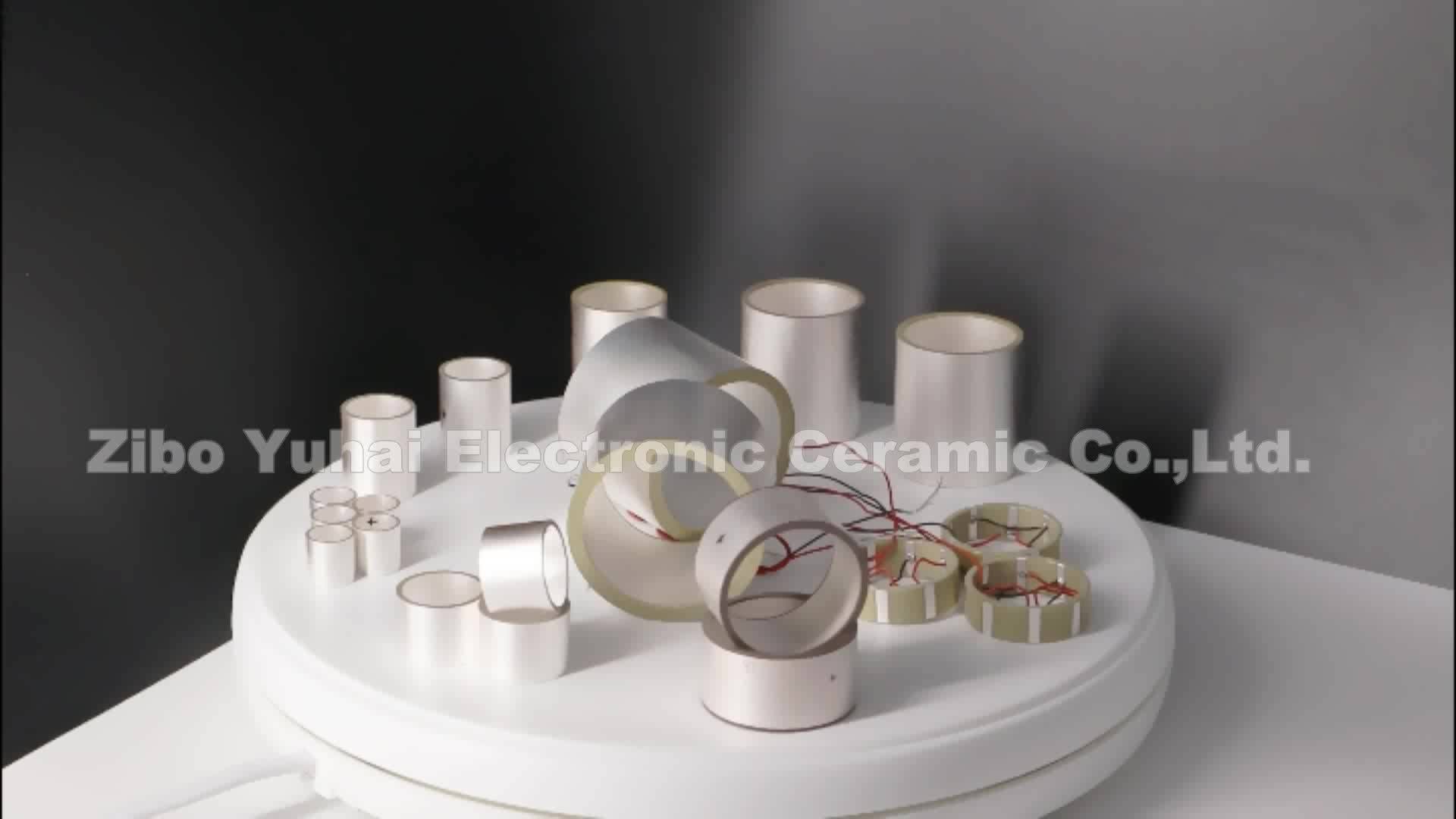 Piezoelectric Material Disks Ultrasonic Transducer Pzt Ceramic Ring ...
