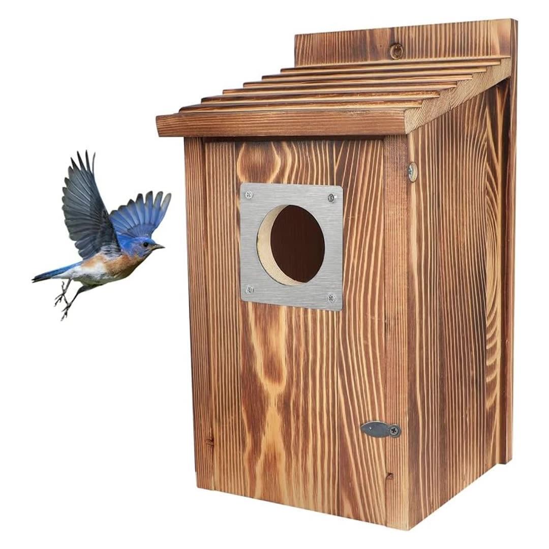 Wooden Nesting Boxes For Outside With Metal Predator Guard For Bluebird ...