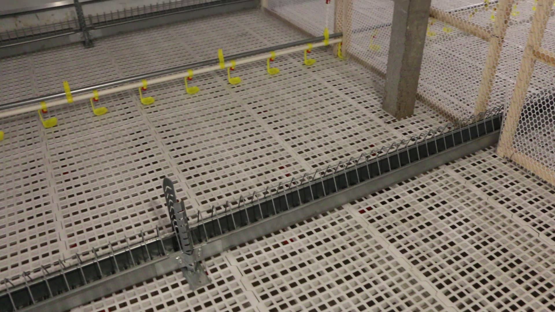 High Load-carrying Capacity Plastic Slatted Laminate Floor For Breeding ...