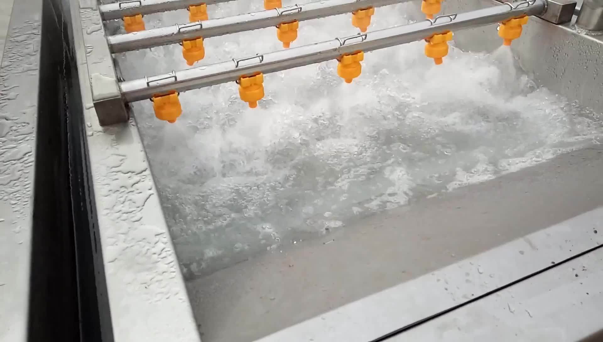 Agricultural Product Corn Washing Machine Wash Fruit Vegetable Washer ...