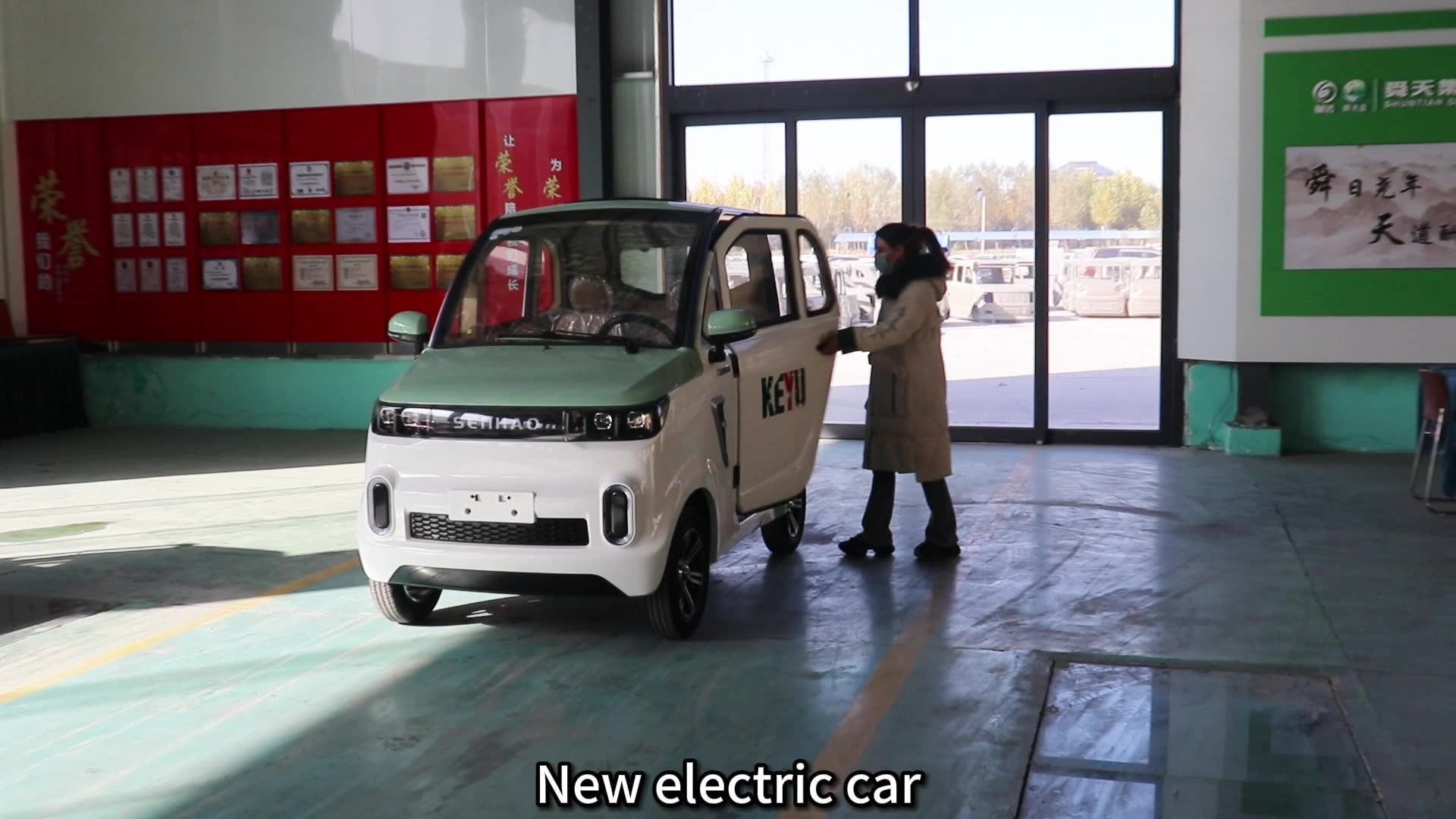 Eec4x4 Small Electric Vehicle New Multi-purpose Left Rudder Lead-acid ...