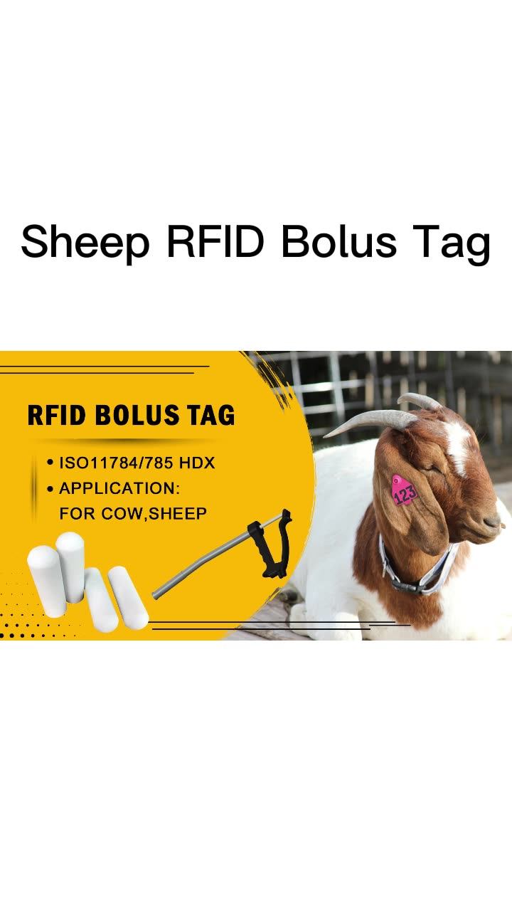 Ruminal Boluses Rfid Tag For Livestock Tracking Animal Identification ...