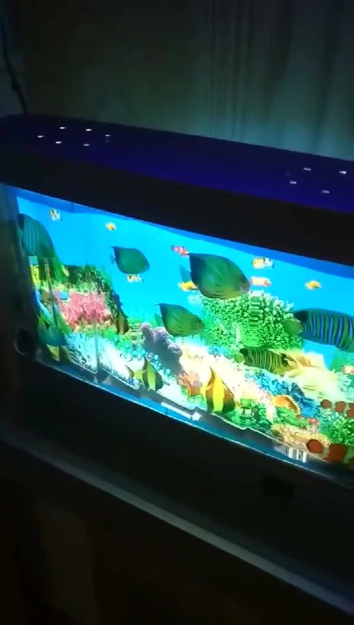 Fish Moving Picture Lamp Aquarium Lamp Motion Fish Night Light Desktop ...