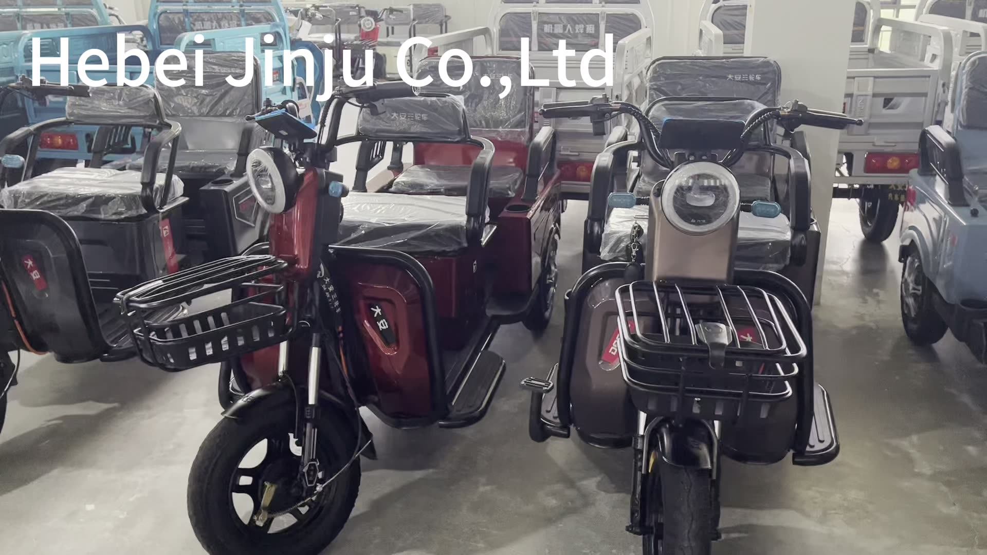 500w Tricycle Electric Bike Three Wheel Electric Motor Bike Adult Two ...