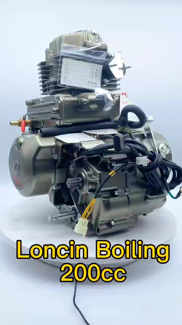 Loncin Load 3-wheels Motorcycle Cargo 200cc Motor Engine Quad Atv-utv ...