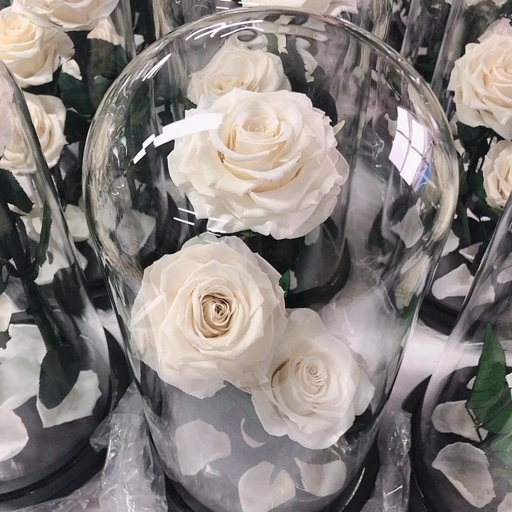 20*30cm Quality Decorative Forever Eternal Everlasting Preserved Rose ...