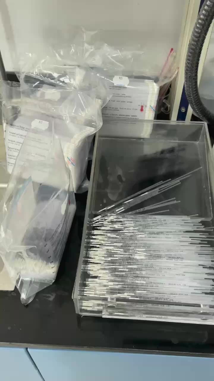 VS-V178 Veterinary artificial insemination cow sheep liquid nitrogen ...